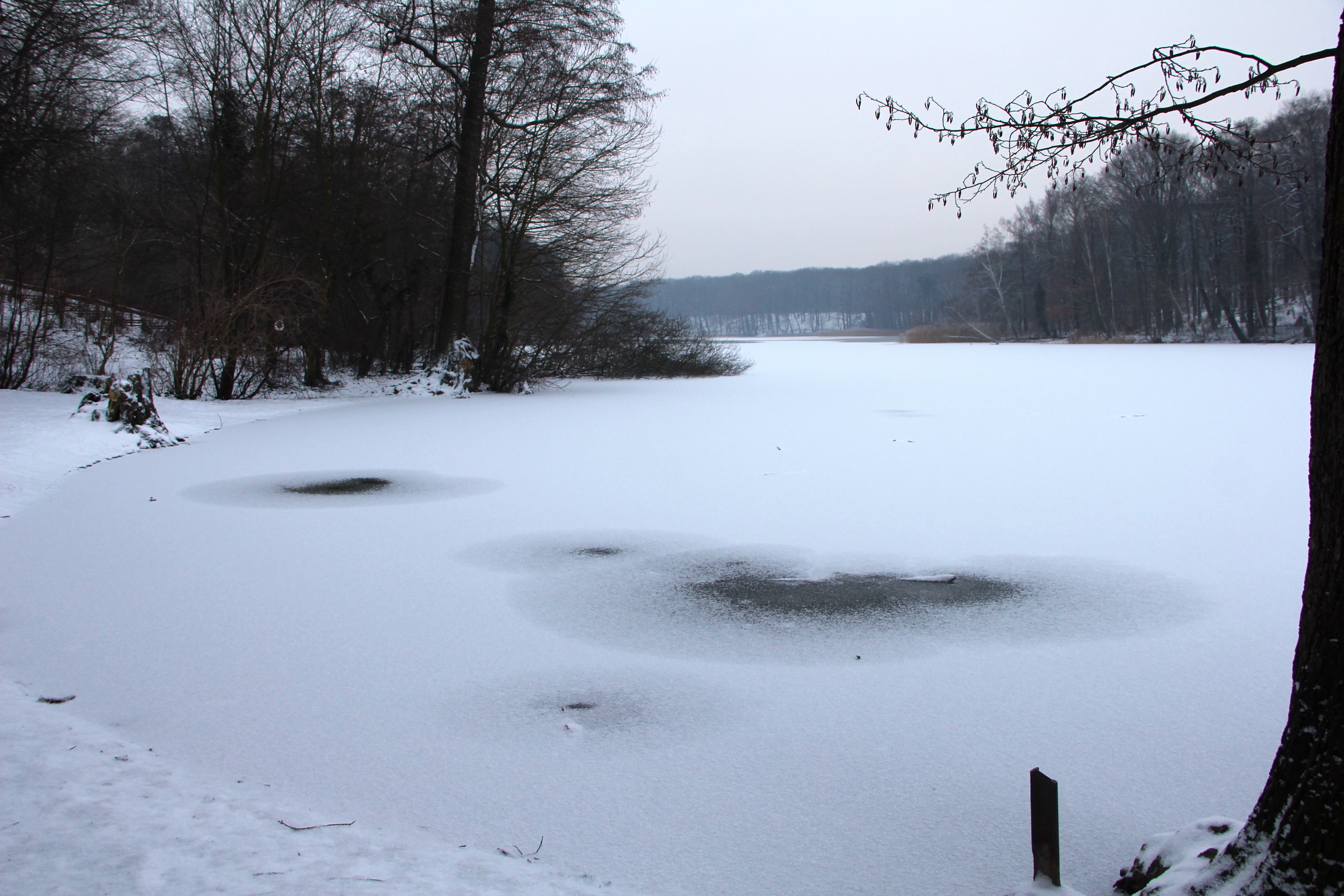 Spectacular beautiful winter grunewald lake free image download