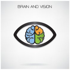 Left and right brain eye symbol free image download