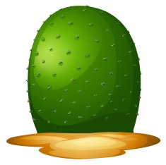 Plain cactus free image download