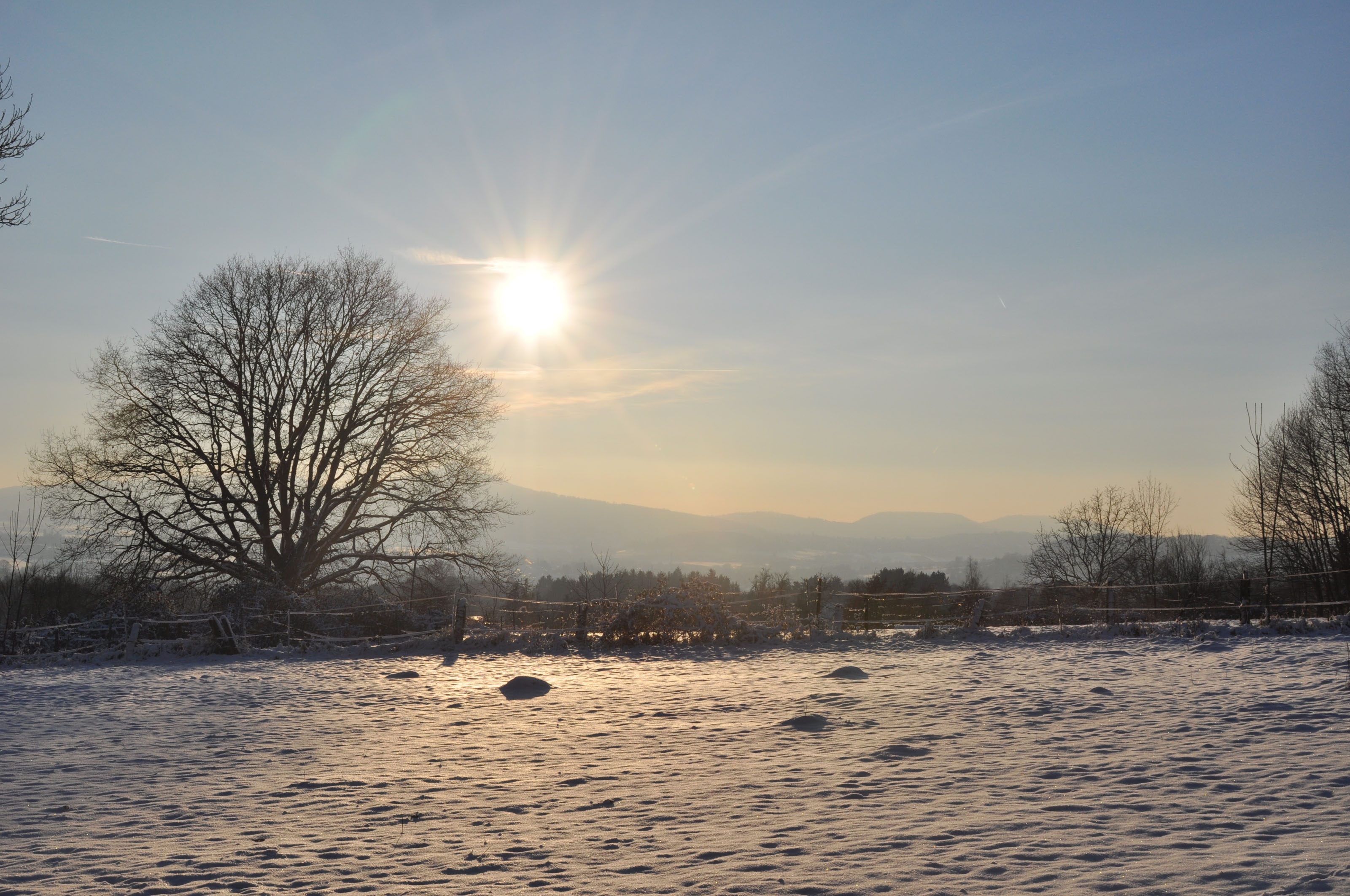 Calm winter landscape at dusk free image download