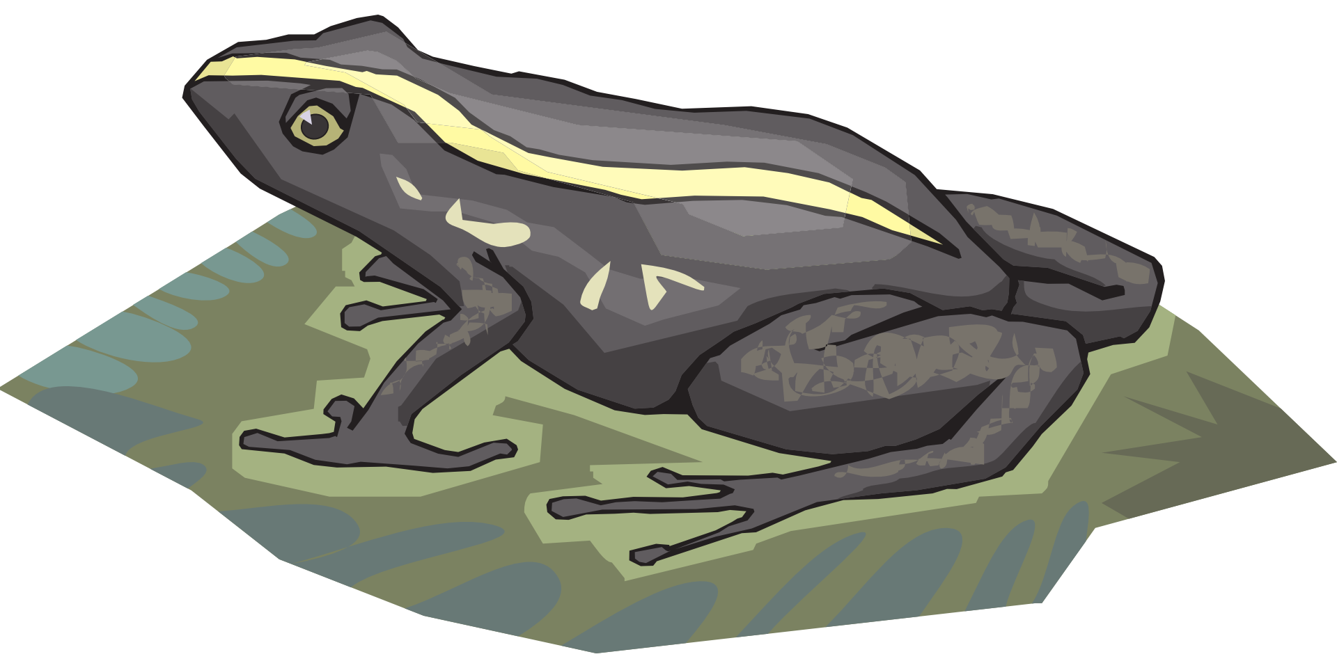 Drawing of a frog on the leaf free image download