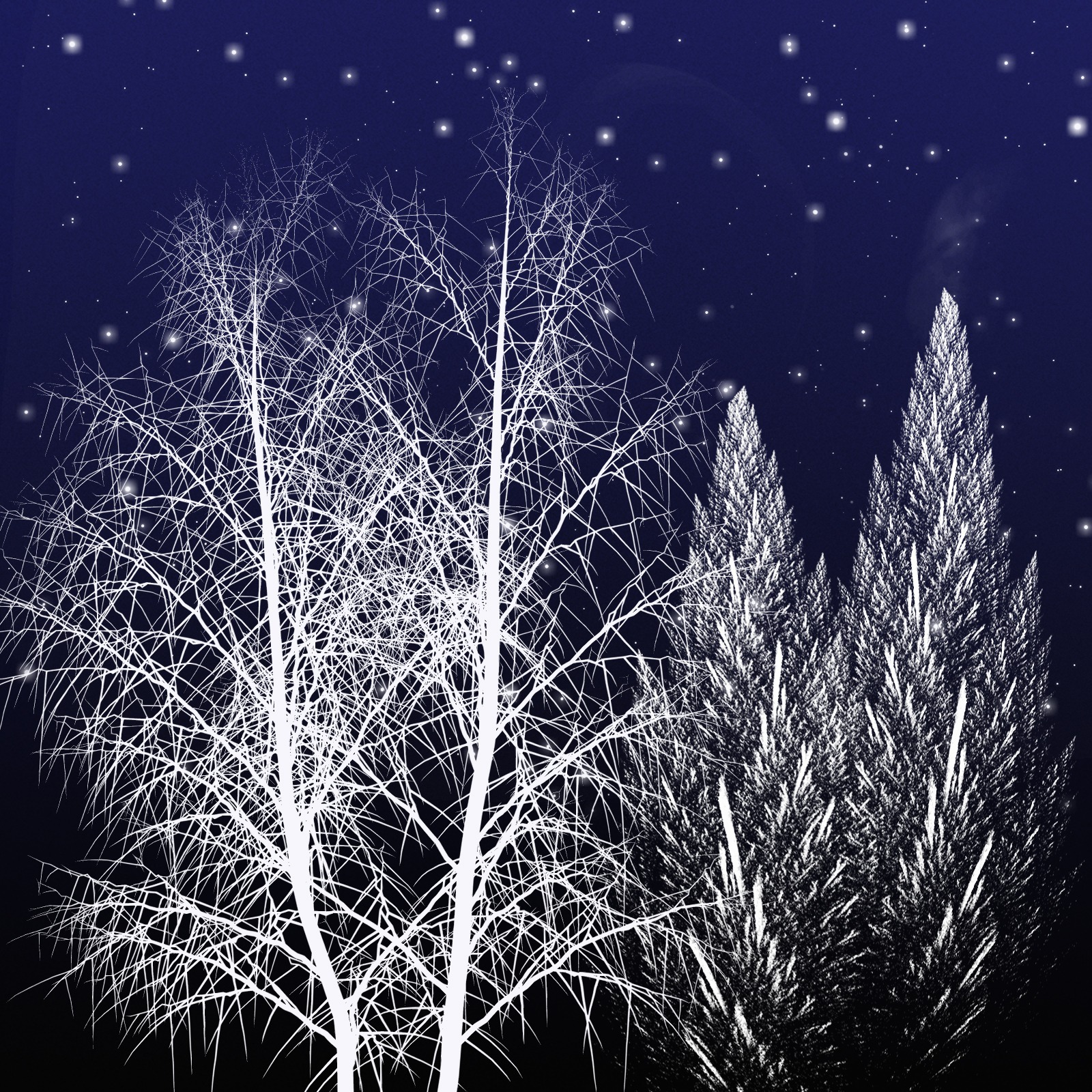 Painted white winter trees against the night sky free image download