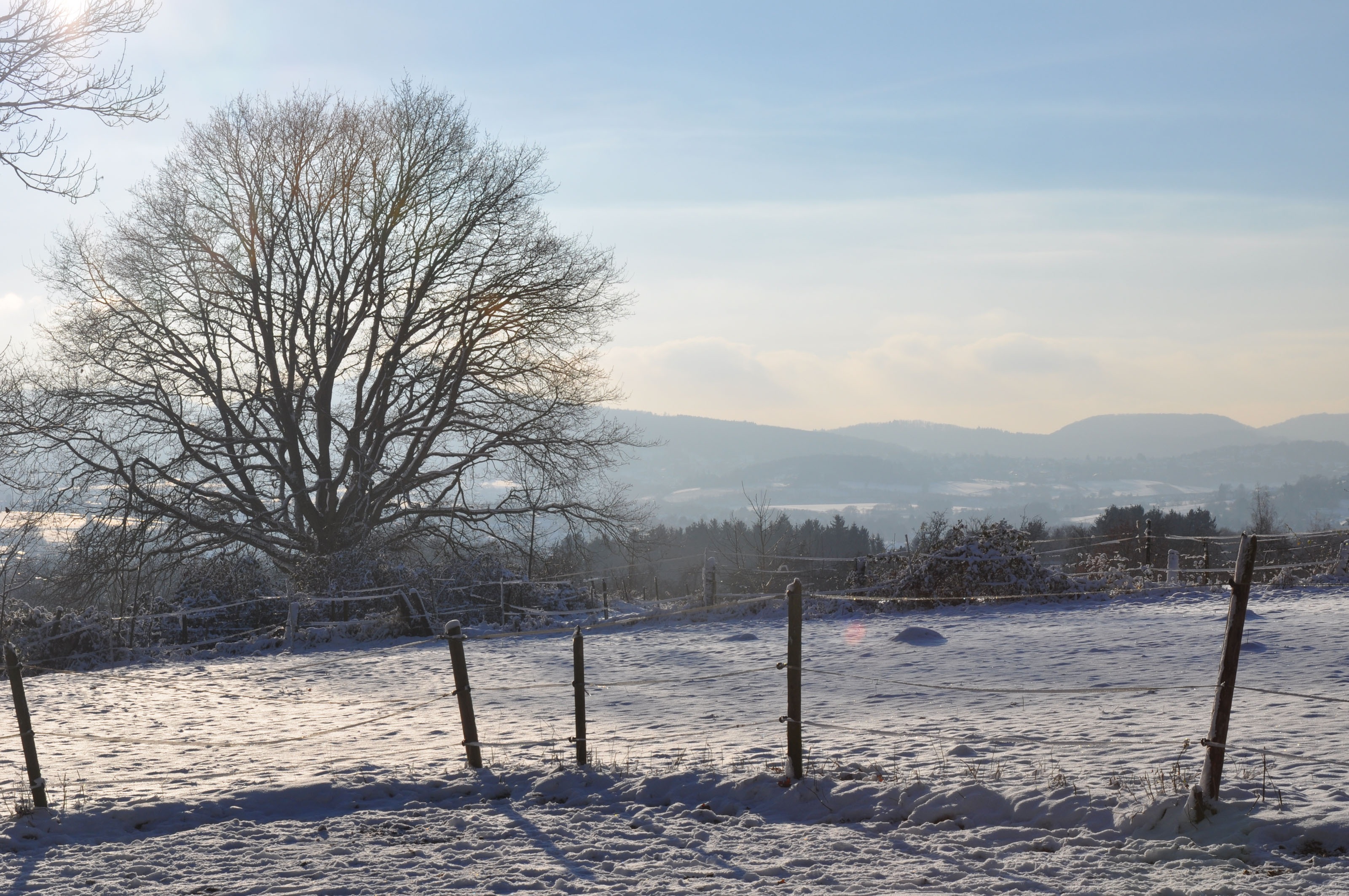 Winter evening in countryside free image download