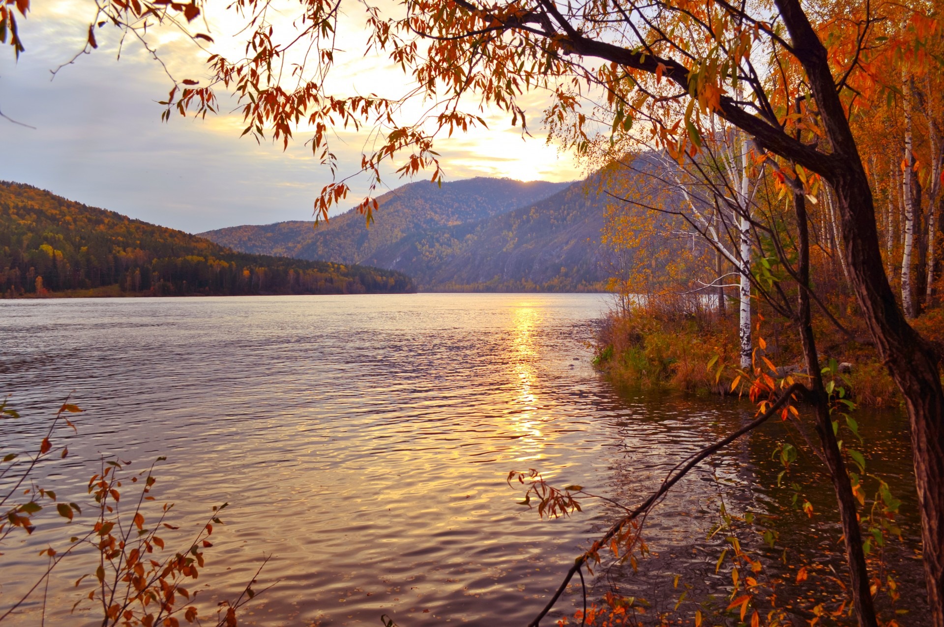 Orange forest by the lake in september free image download