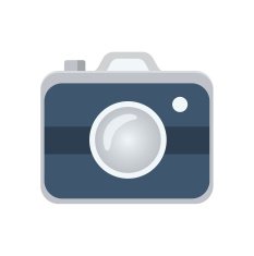 Photo camera flat icon vector logo N4 free image download
