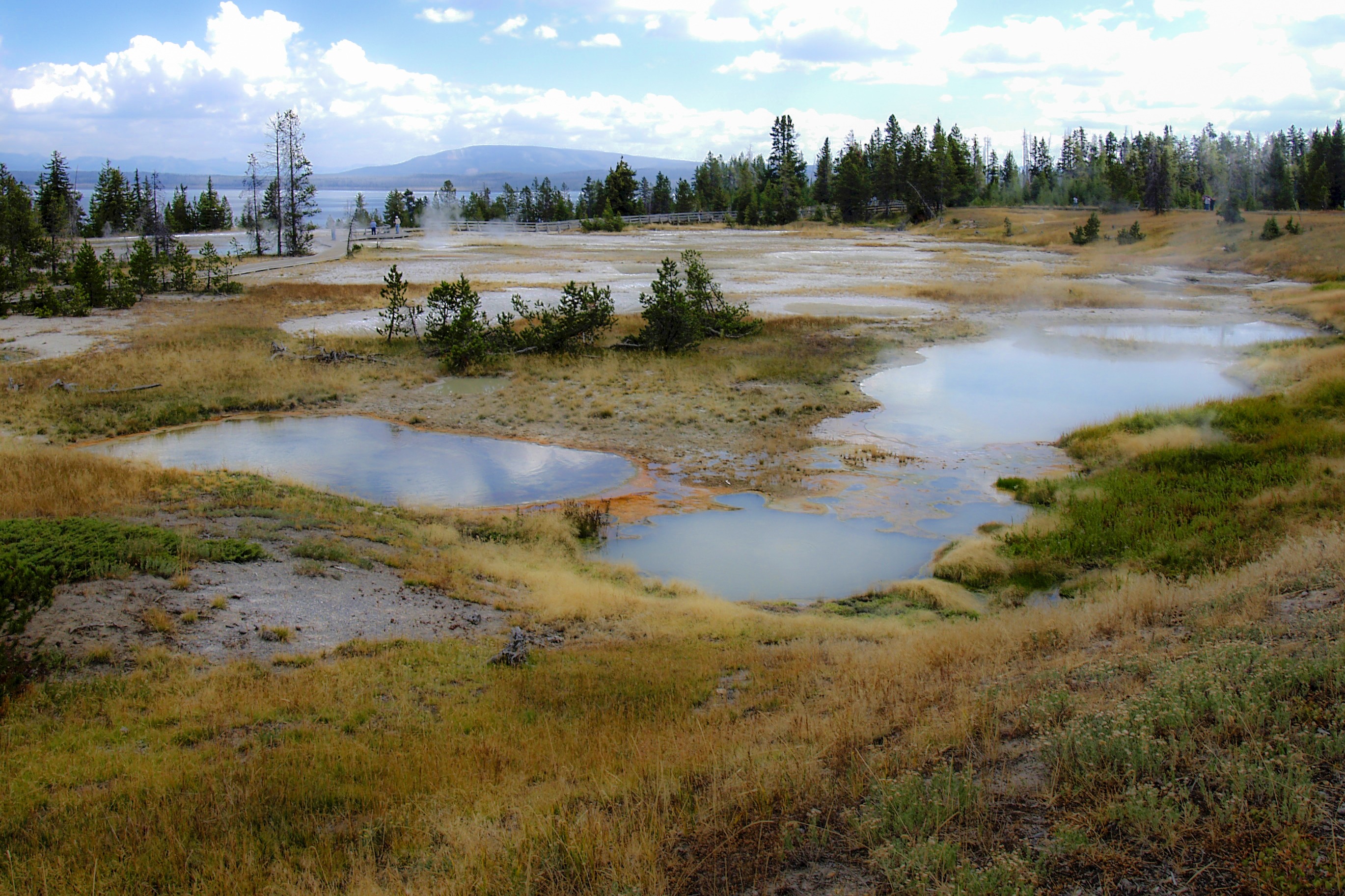 Geothermal ponds in the yellowstone national park free image download