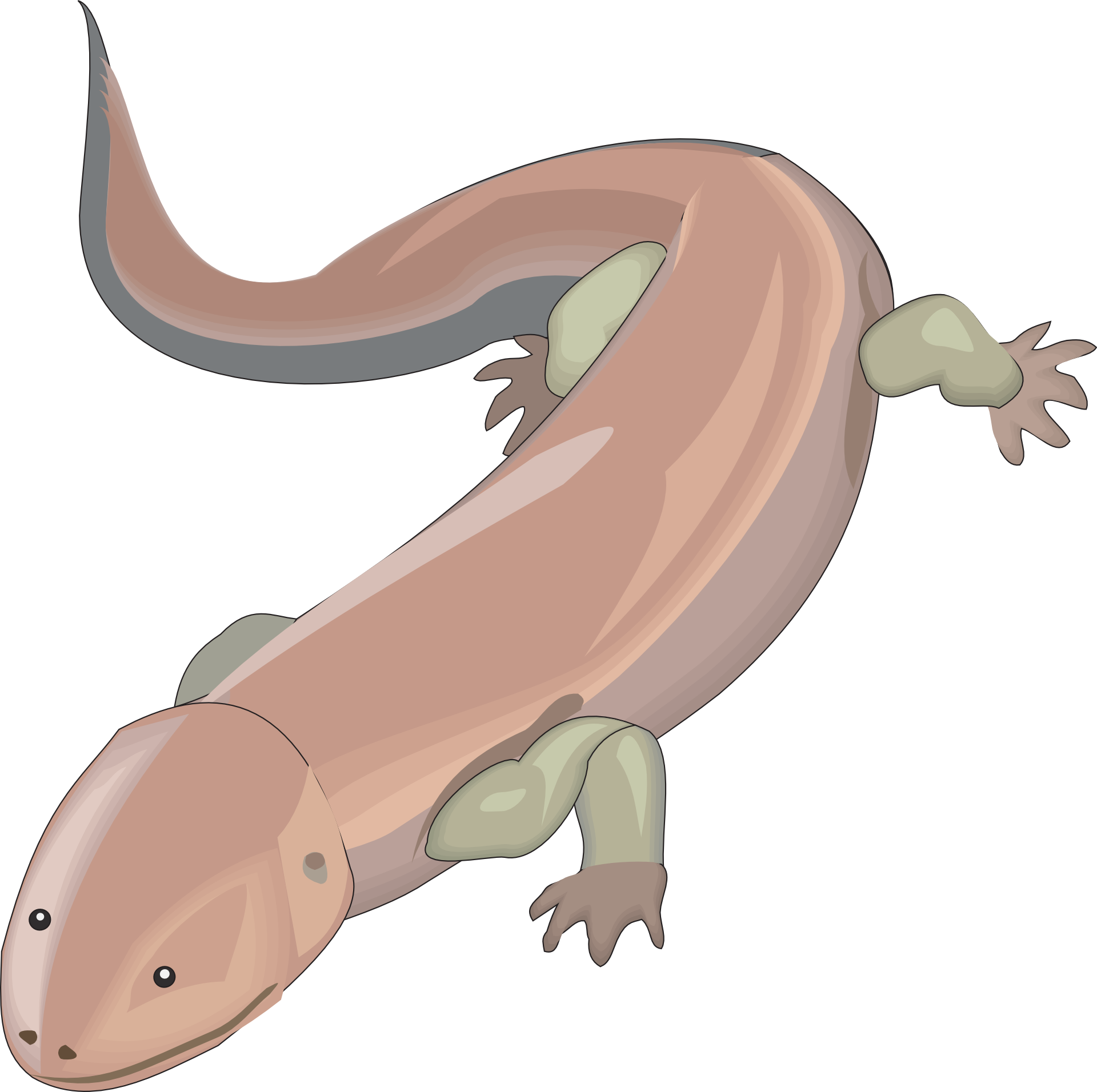 Painted brown lizard free image download