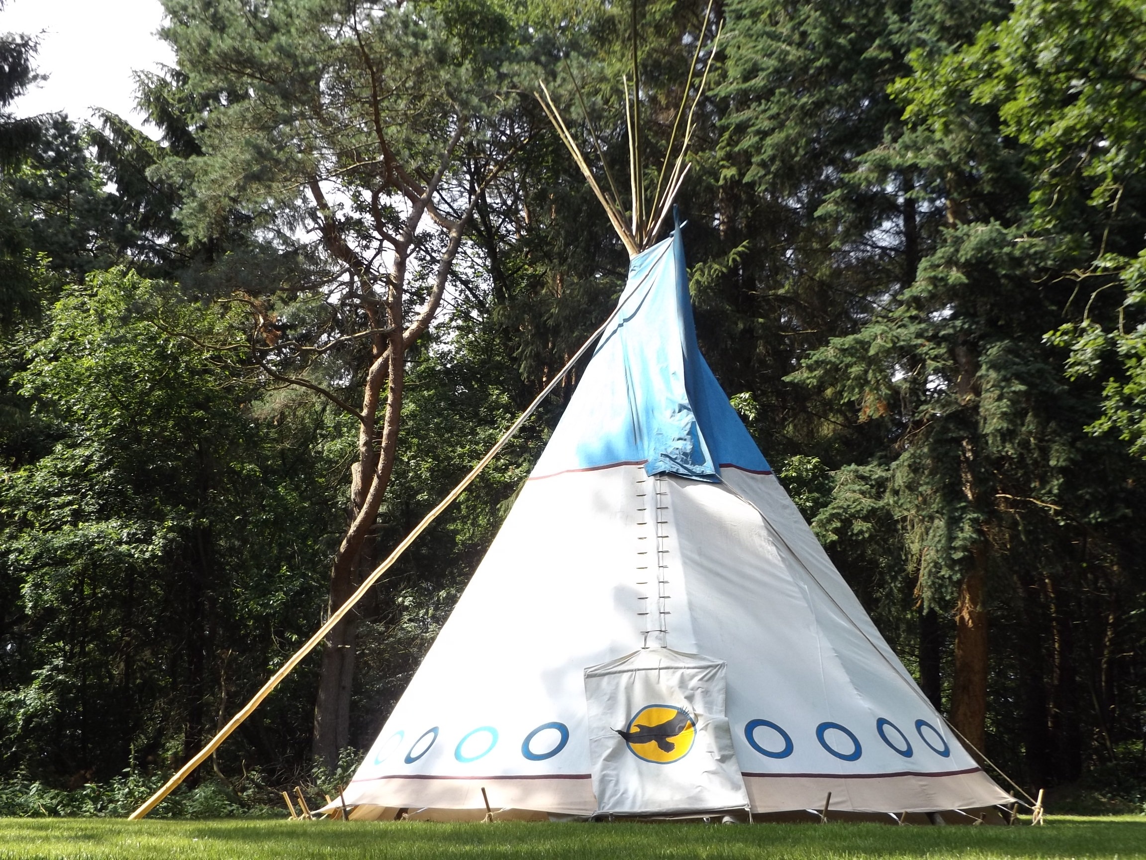Tipi in the forest free image download
