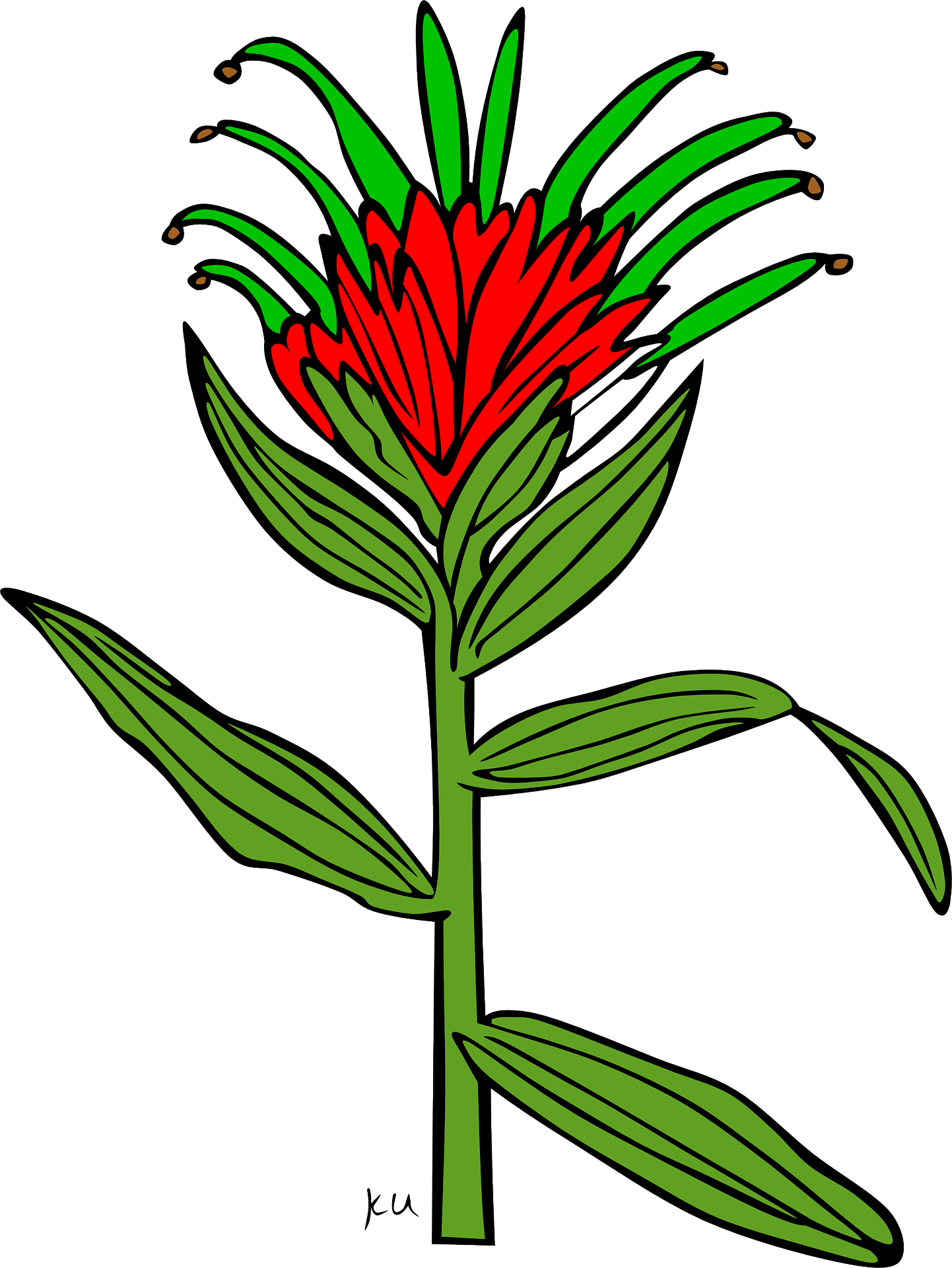 Red plant draw free image download
