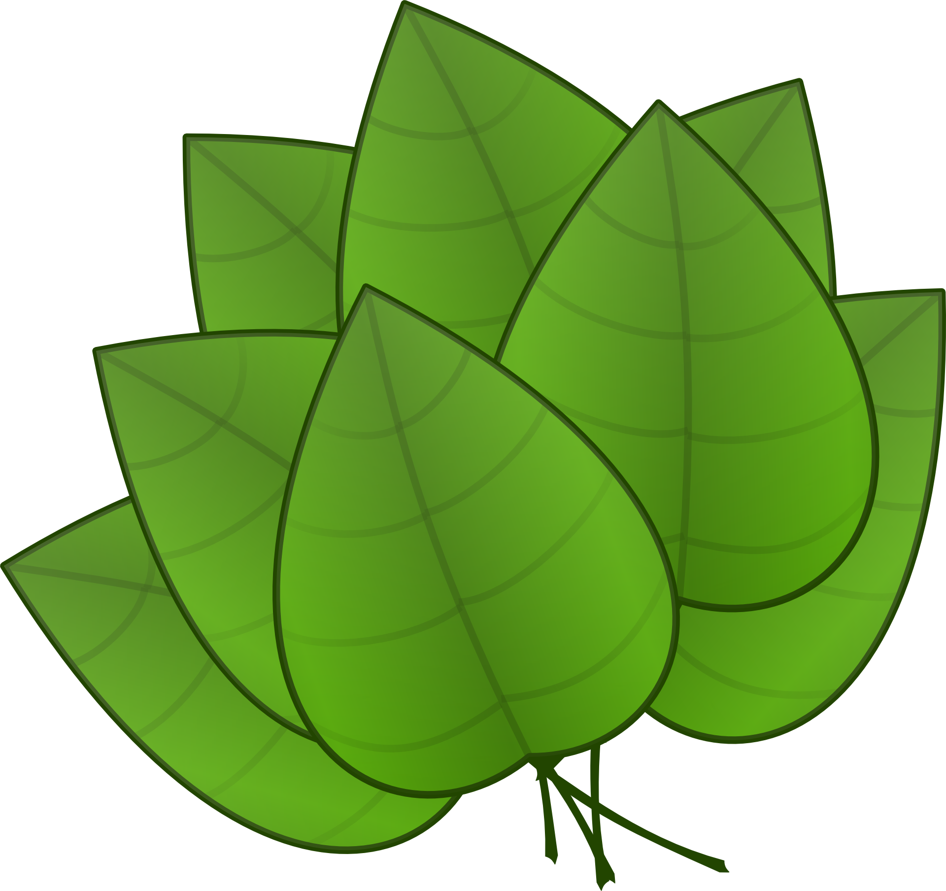 Terrific Leaves Drawing Free Image Download terrific-leaves-drawing-free-image-download