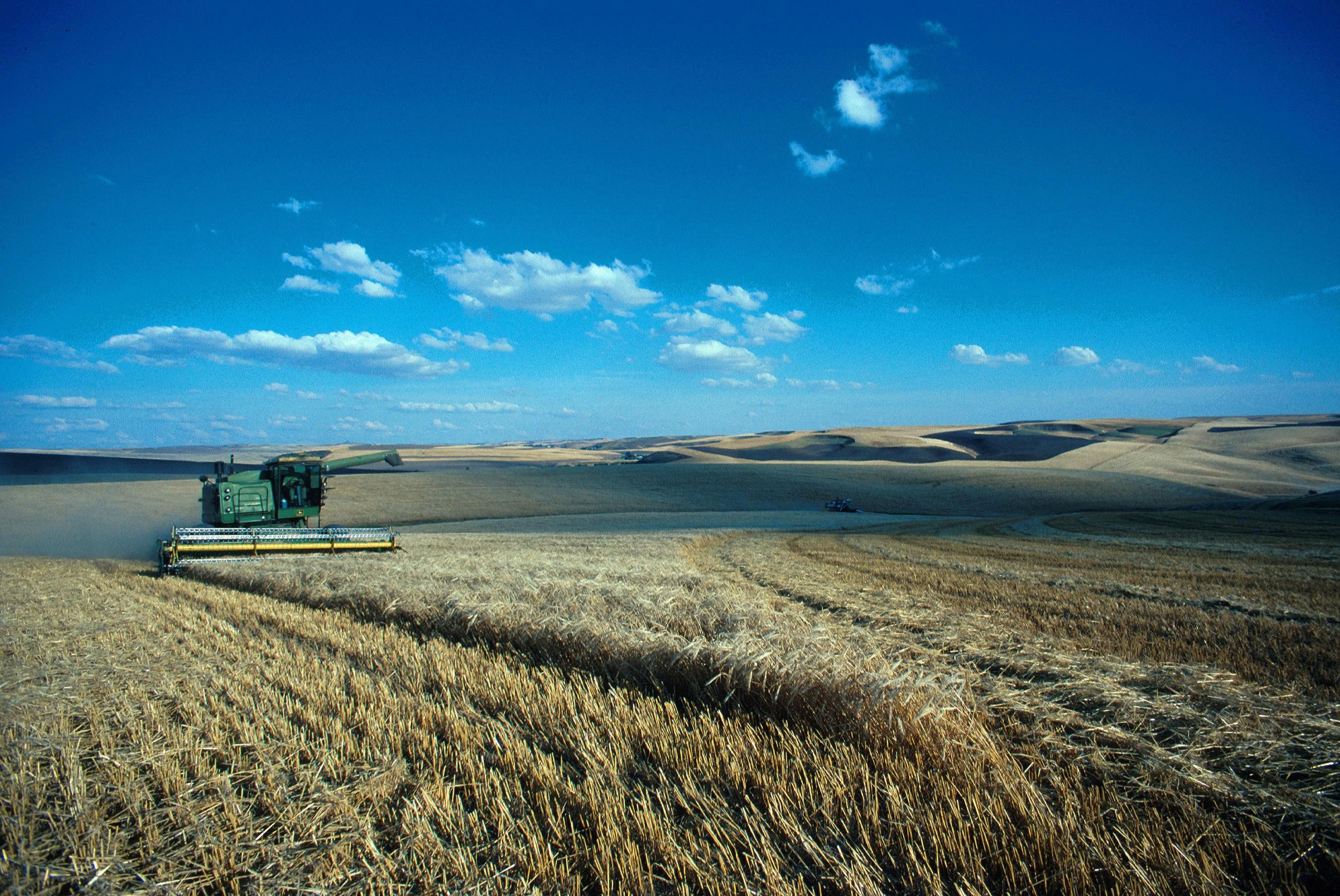 Harvesting barley in a field in the north of the usa free image download