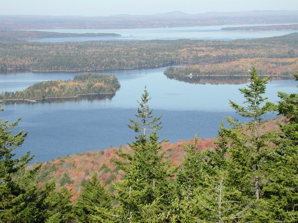 New england trees free image download