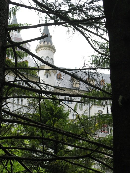 Landscape of fairy castle behind the trees free image download
