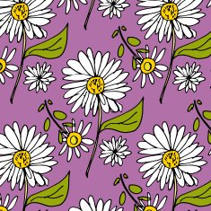 Pretty daisy flowers background free image download