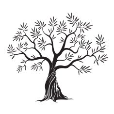 Vector olive tree free image download