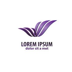 Vector 3d abstract wing flying logo for company N6 free image download