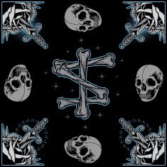 Roses frame Skull and Bones cross free image download