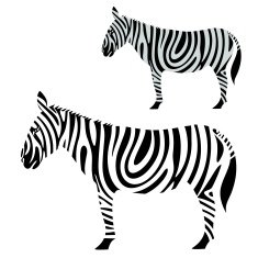 Zebra N12 free image download