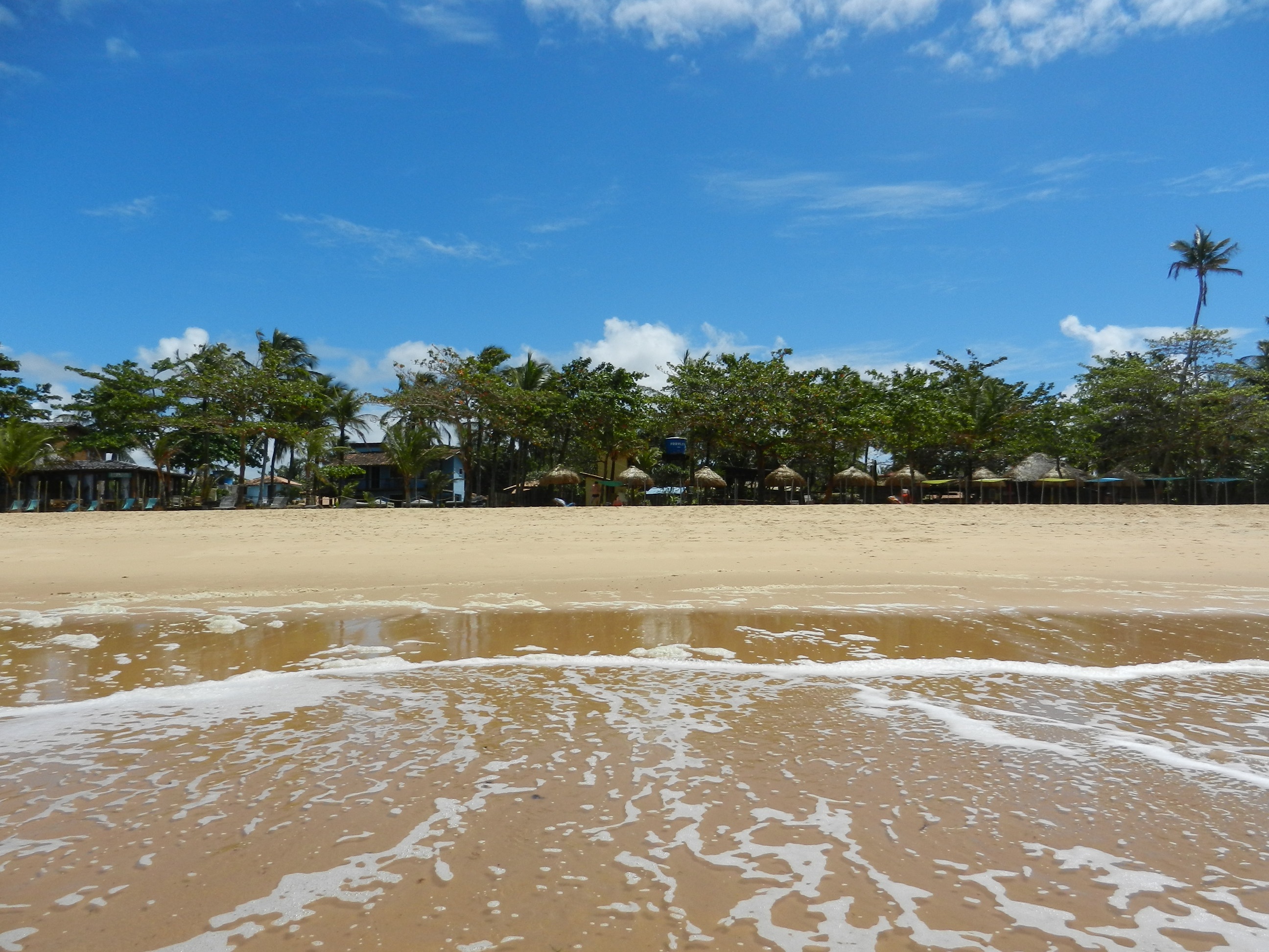 Sandy beach in Brazil free image download