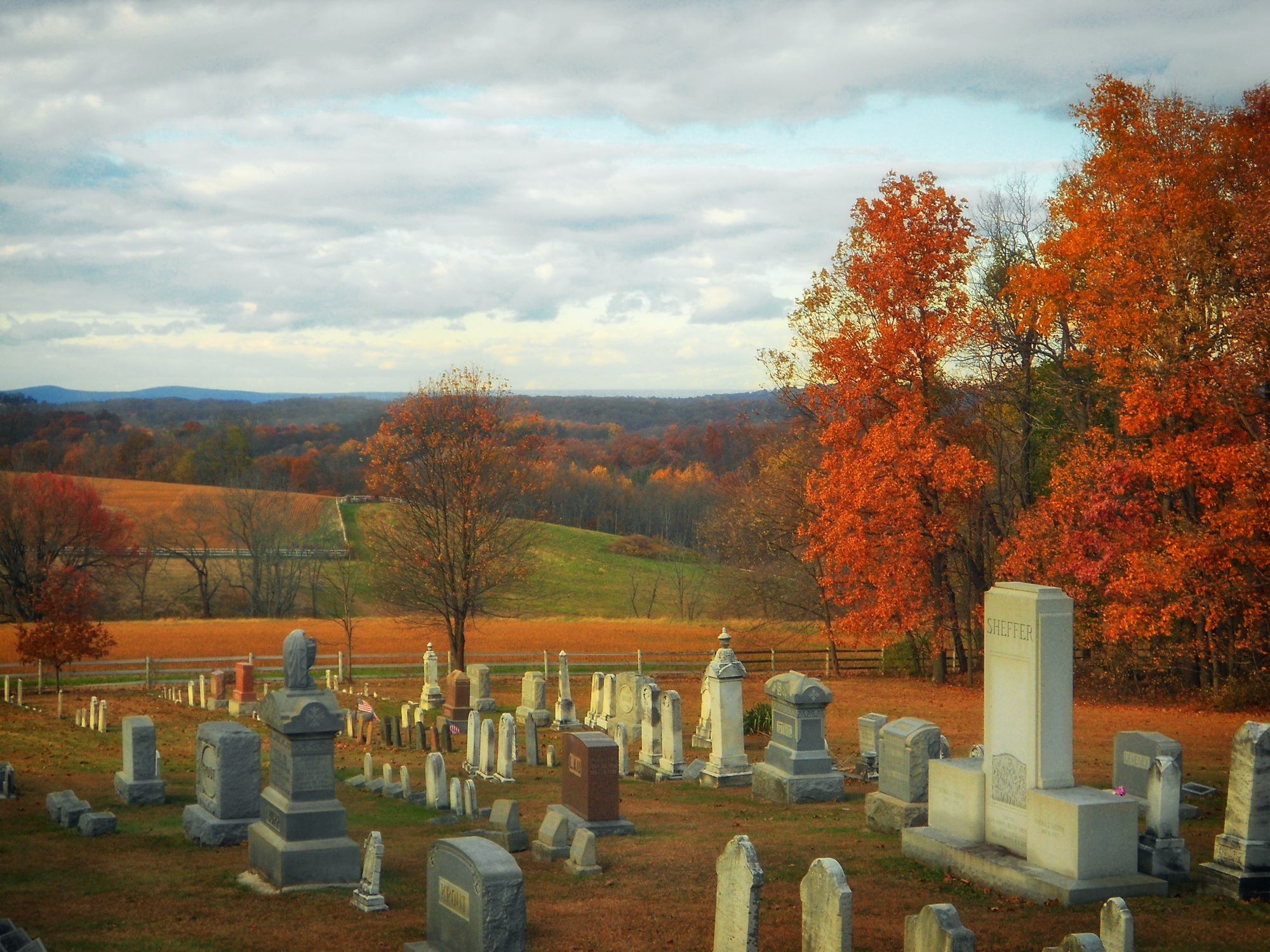 Light tombstones in a cemetery in Pennsylvania free image download