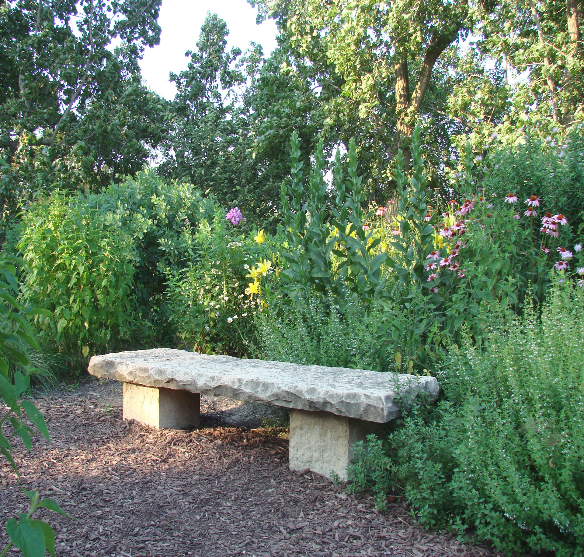Landscape of stone bench in a green place free image download