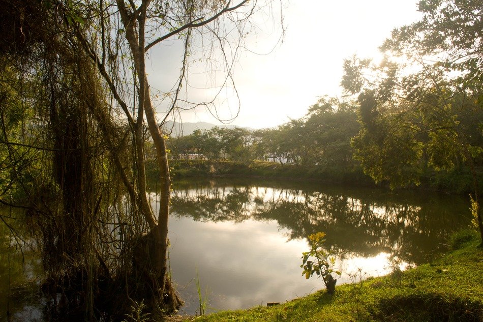 Lake among forest in colombia free image download