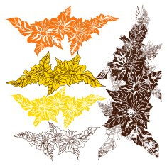 Distressed flowers free image download