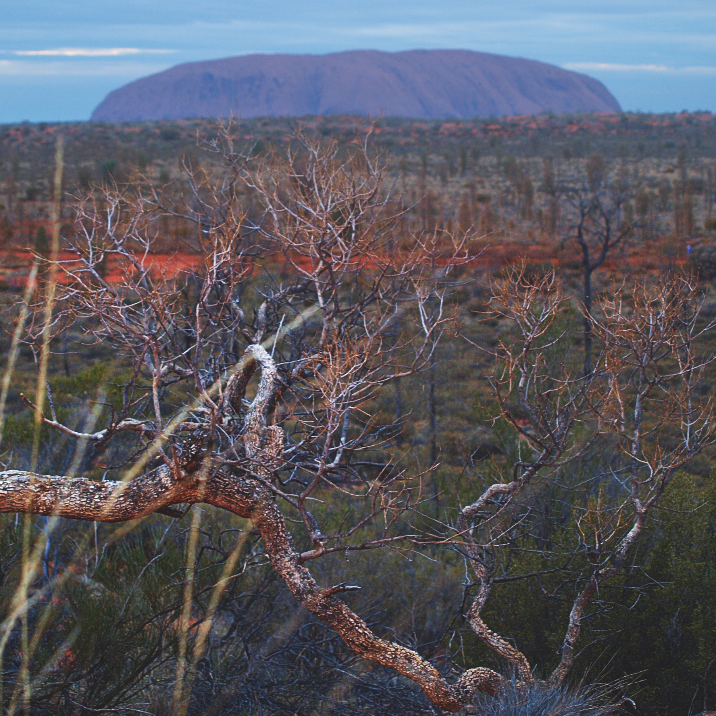 Sandstone rock formation Uluru in Australia free image download