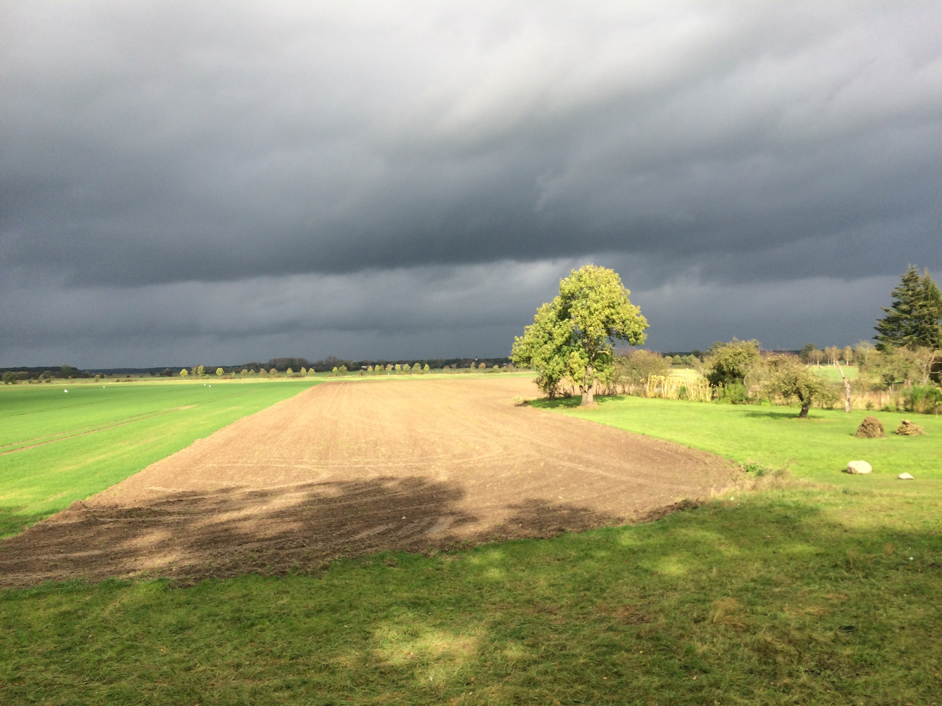 Gray storm clouds over the arable field free image download