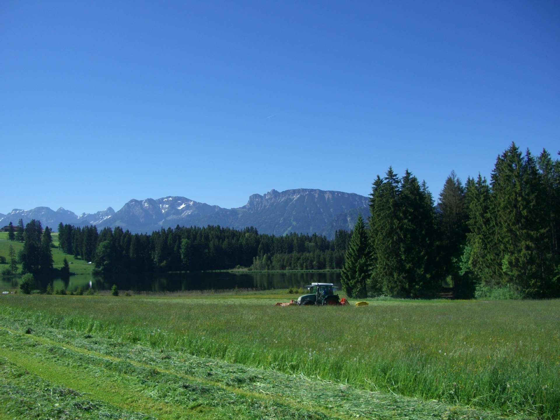 Extraordinary beautiful meadow free image download