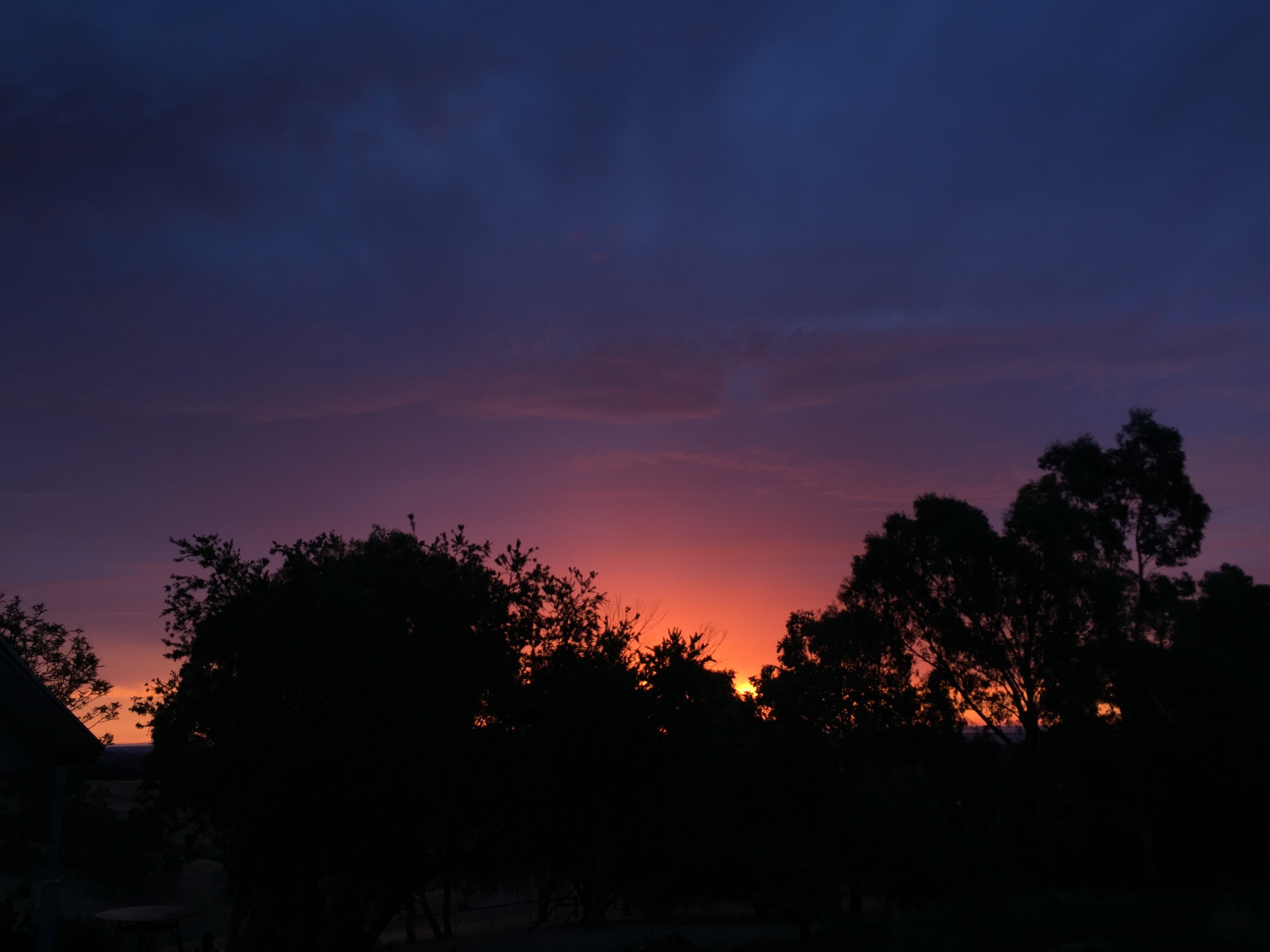 Landscape of sunset over the trees free image download
