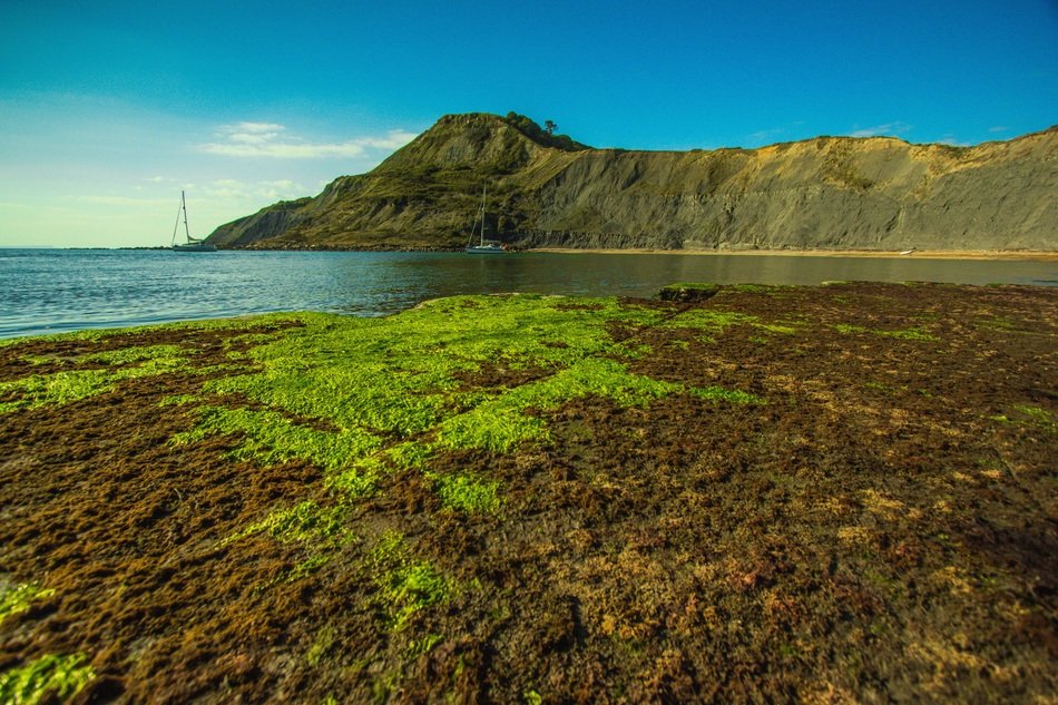 Landscape of the beautiful Champan's Pool with green plants free image ...