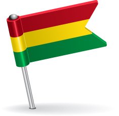 Bolivian pin icon flag Vector illustration free image download