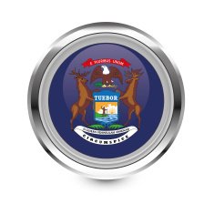 Michigan flag icon free image download