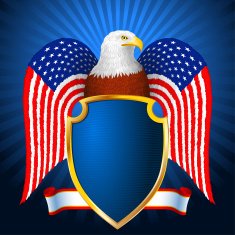 American Eagle Flag Wing Shield free image download