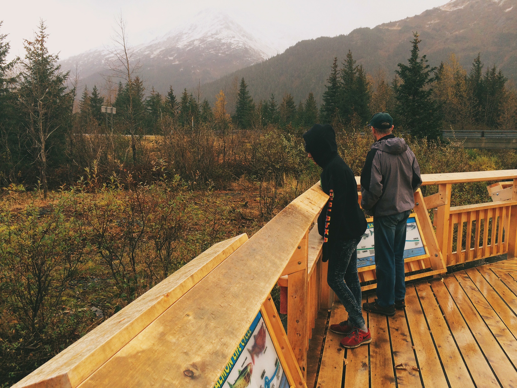 People stand on the wooden deck free image download