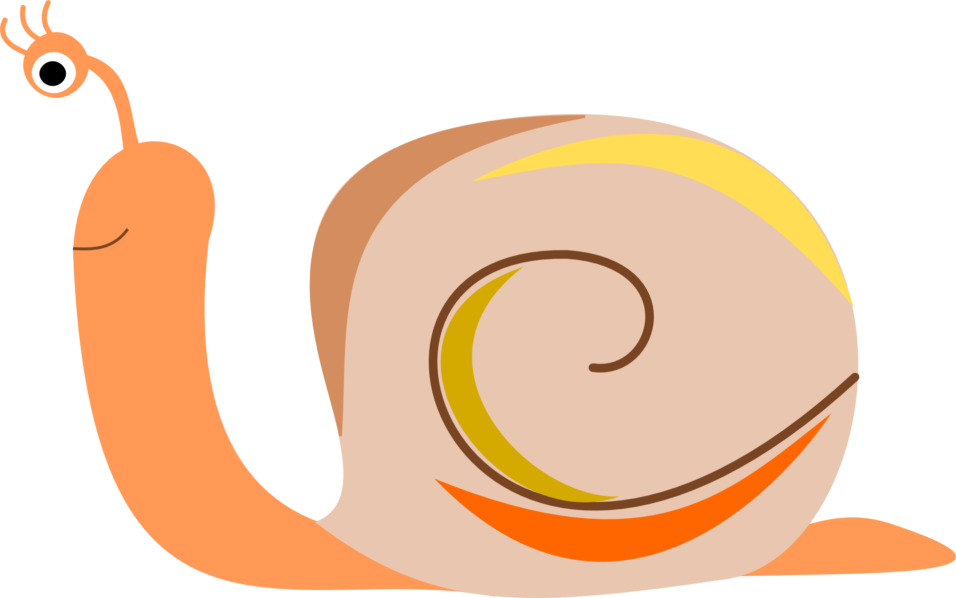 Snail reptile drawing free image download