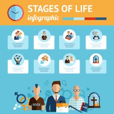 Stages of life infographic report print free image download