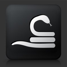 Black Square Button with Snake Icon free image download