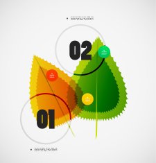 Modern leaves infographic free image download