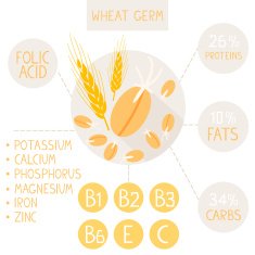 Wheat germ free image download