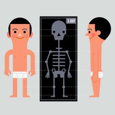 InfoGraphic X-Ray man free image download