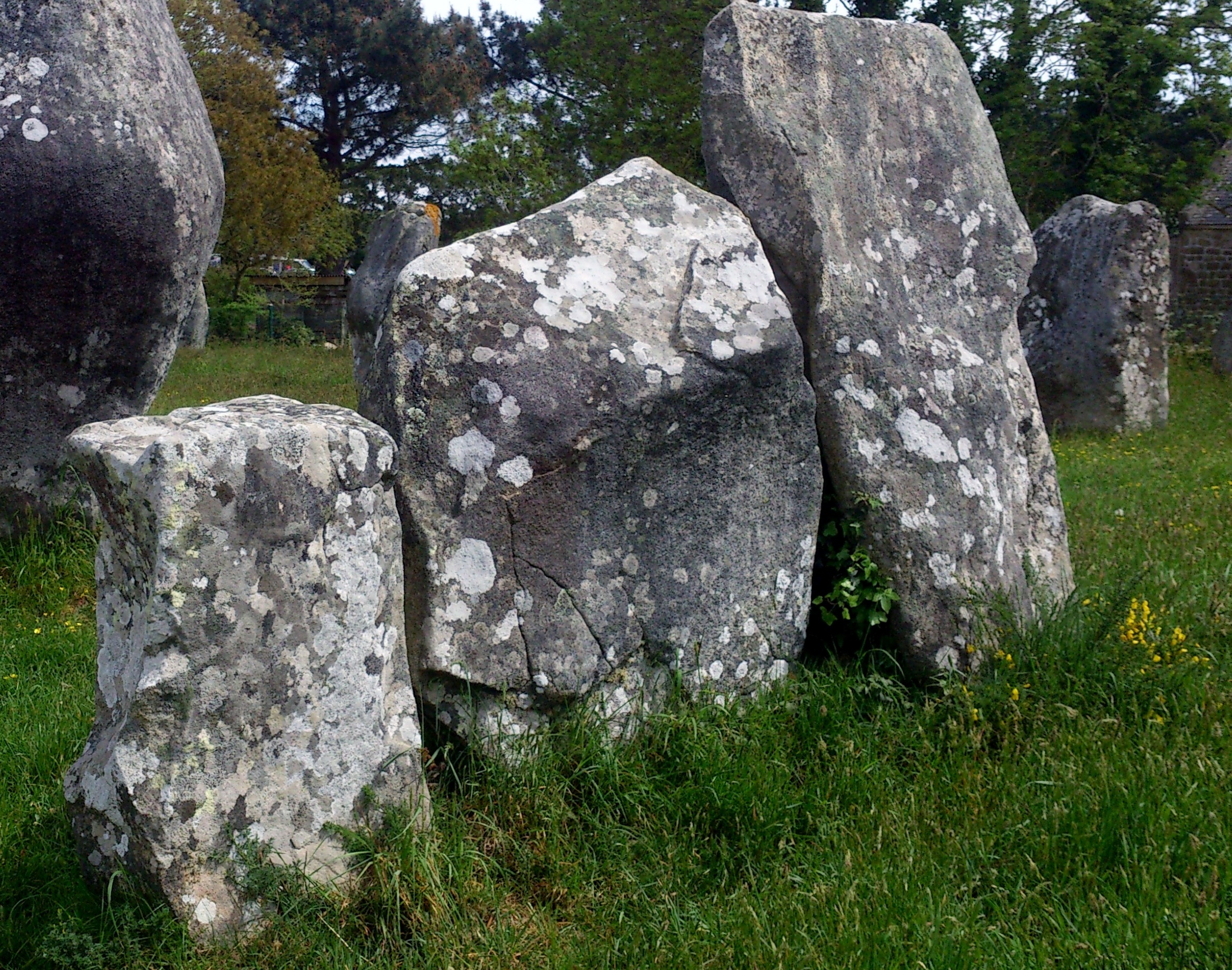 Ancient carnac stones in brittany free image download