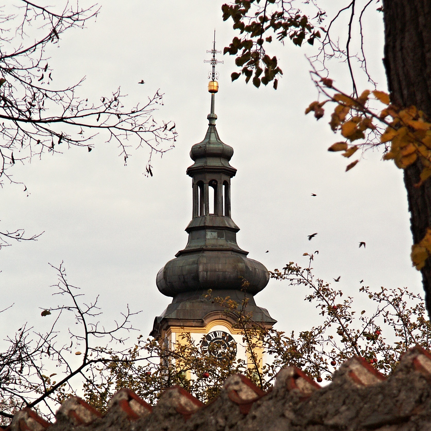 Crows over the spire of the church tower free image download