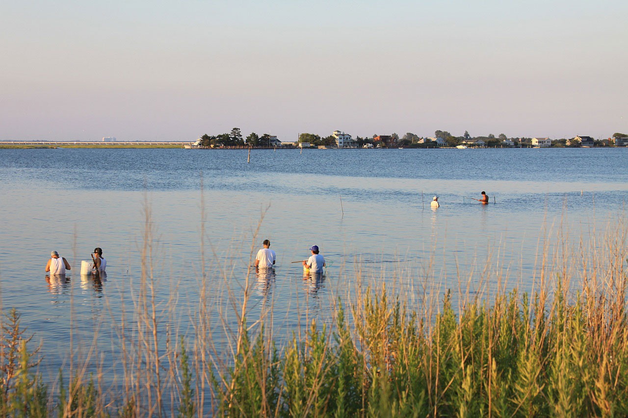 Fishermen in the lake are fishing free image download