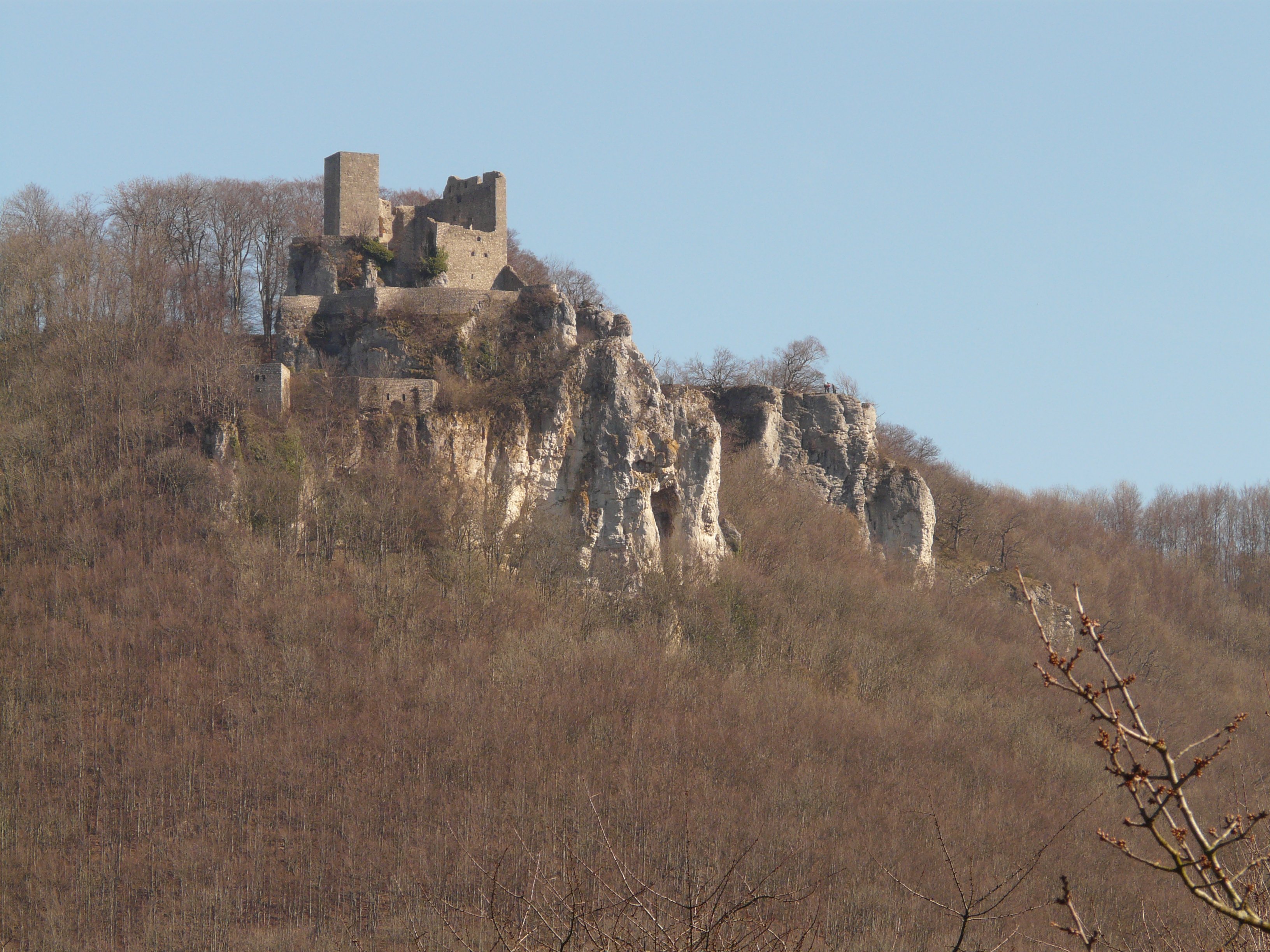 Knight's castle in the bush in the Swabian Alb free image download