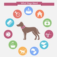 Dog infographics and icon set free image download