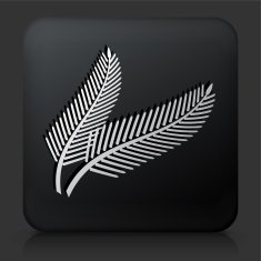 Black Square Button with Pine Leaf Icon free image download
