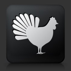 Black Square Button with Chicken Icon N2 free image download
