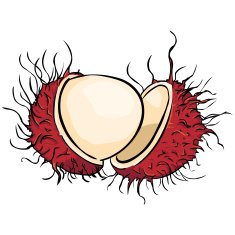 Vector Cartoon Rambutan free image download